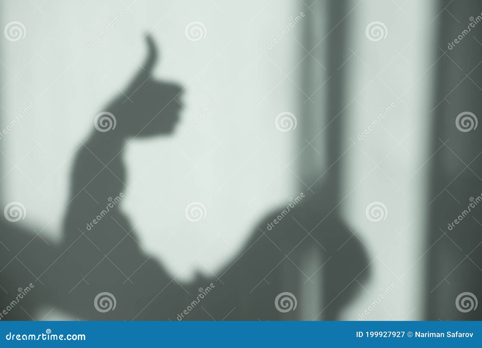 Reflection of a Raised Thumb Up with a Raised Hand Stock Image - Image ...