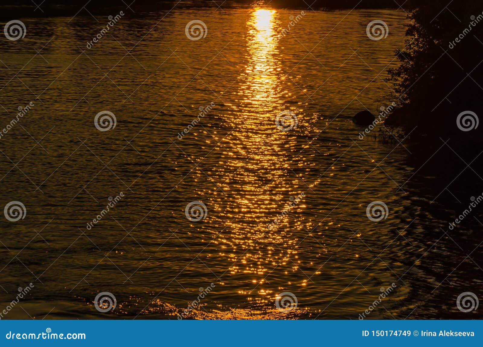 Reflection of the Rays of the Setting Sun on the Surface of the Water ...