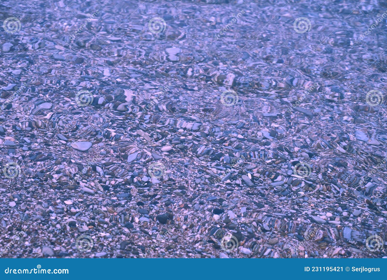 Reflection and Refraction on the Surface of the Water. Stock Image ...