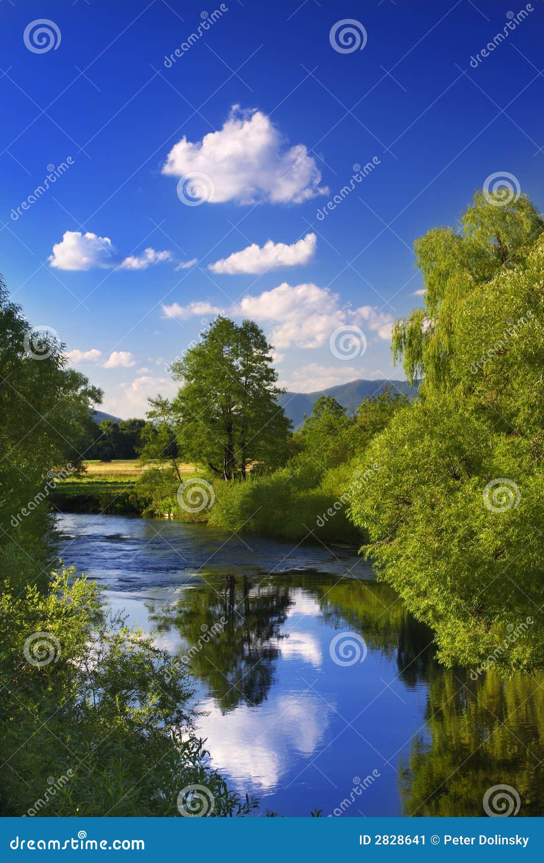 Reflection in the River stock image. Image of beautiful - 2828641