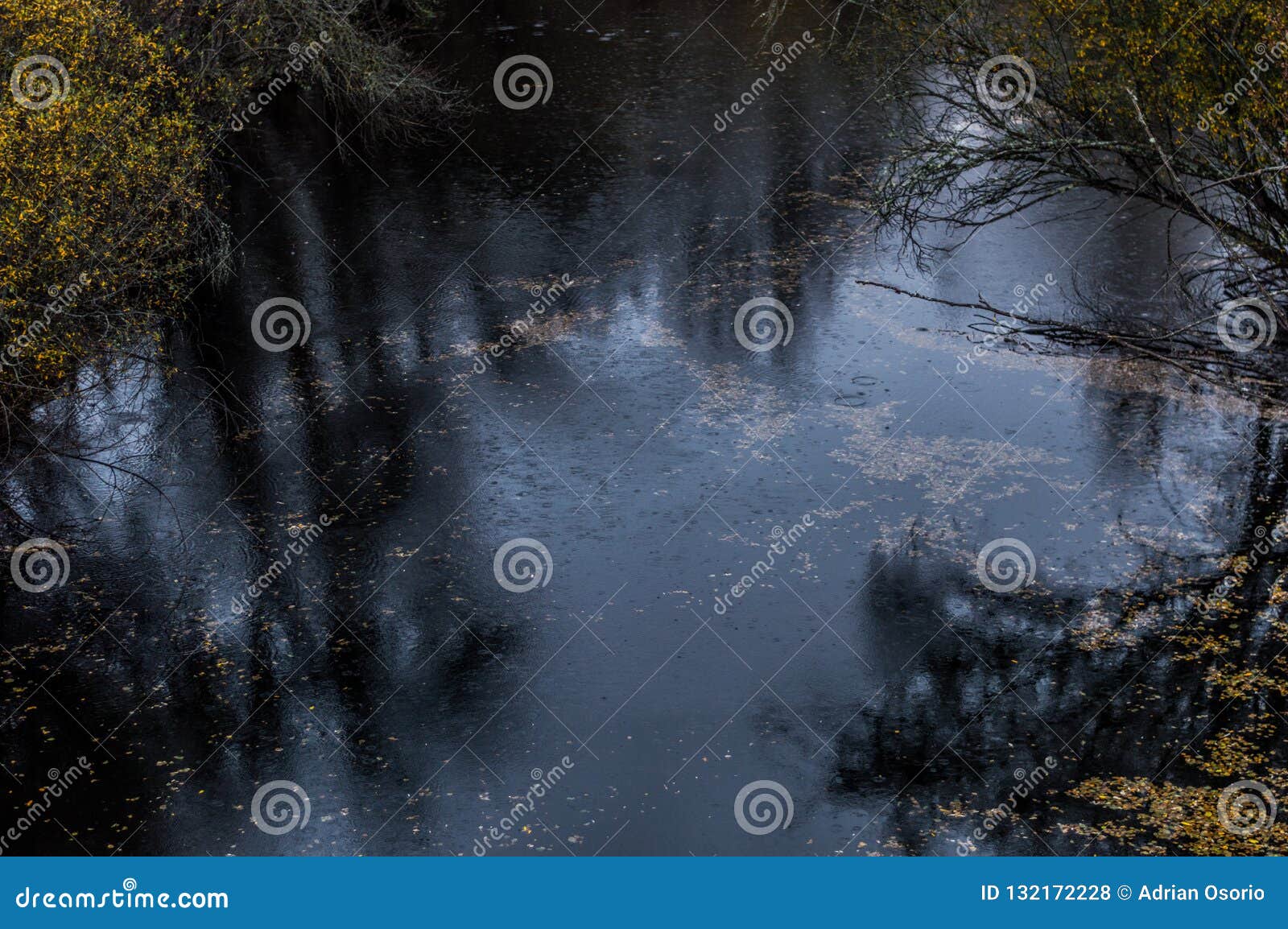 Reflection in a river stock photo. Image of rainy, river - 132172228