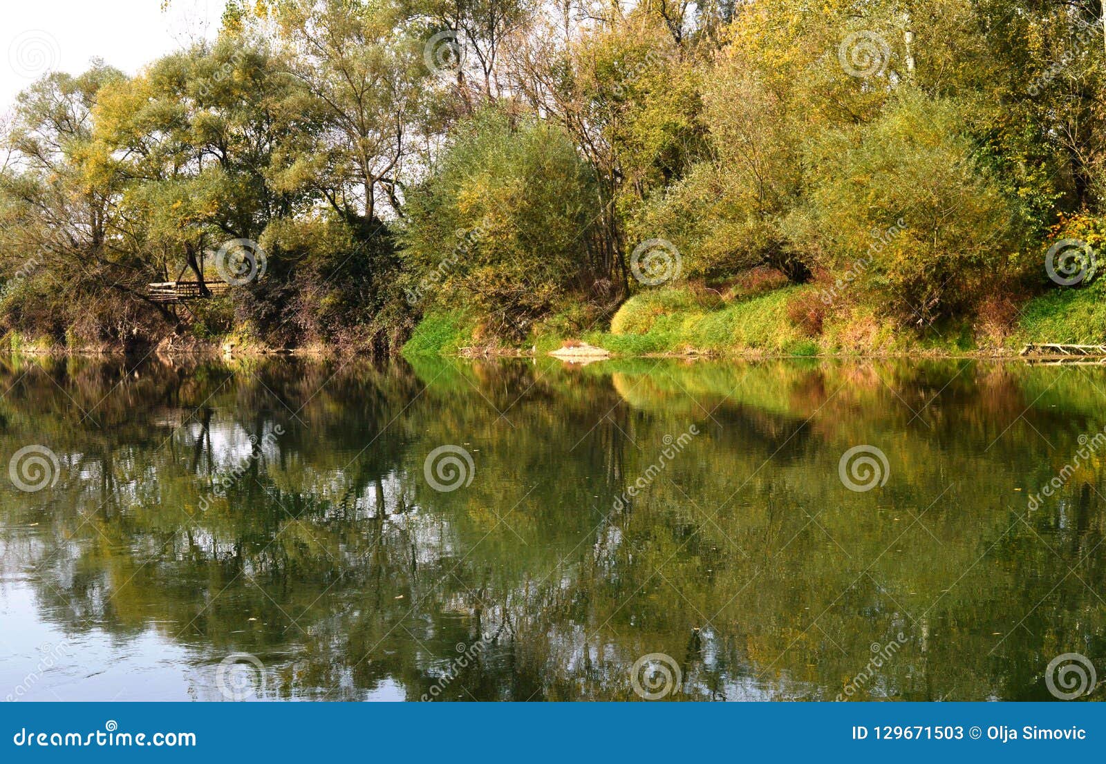 Reflection in the river stock image. Image of leafs - 129671503