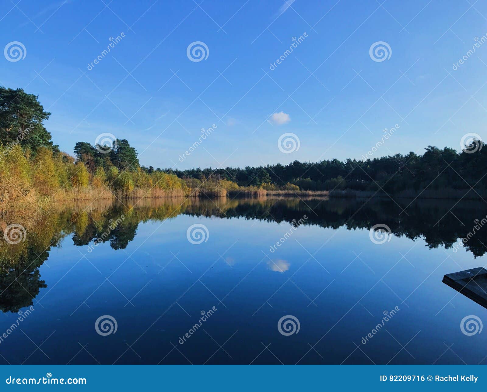 Reflection stock photo. Image of blue, cold, winter, river - 82209716
