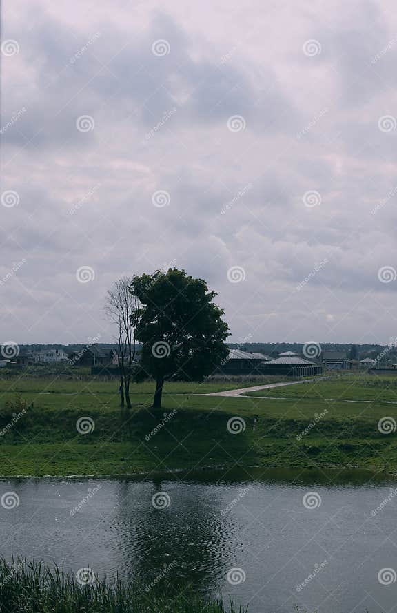 Reflection in the River of a Separately Growing Tree. Landscape Stock ...
