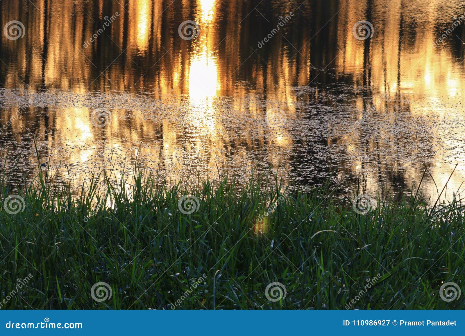Reflection River and Shadow Tree in Water Beautiful Sunset Nat Stock ...
