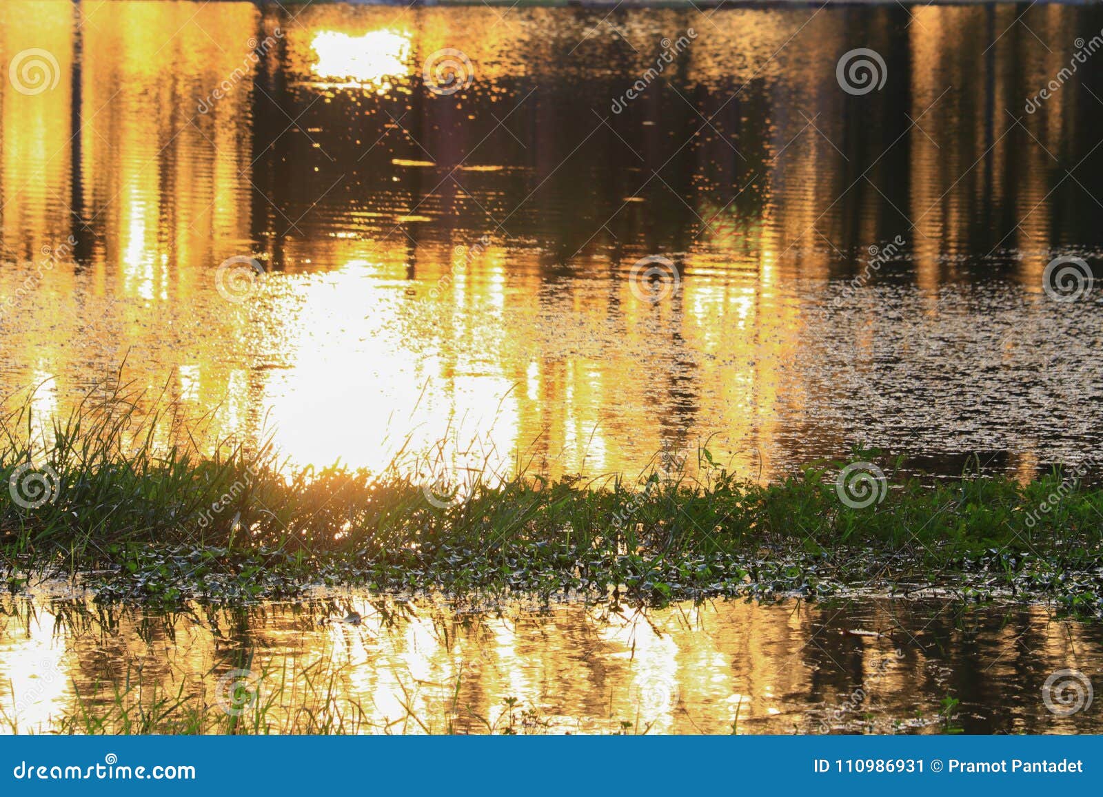 Reflection River and Shadow Tree in Water Beautiful Sunset Nat Stock ...