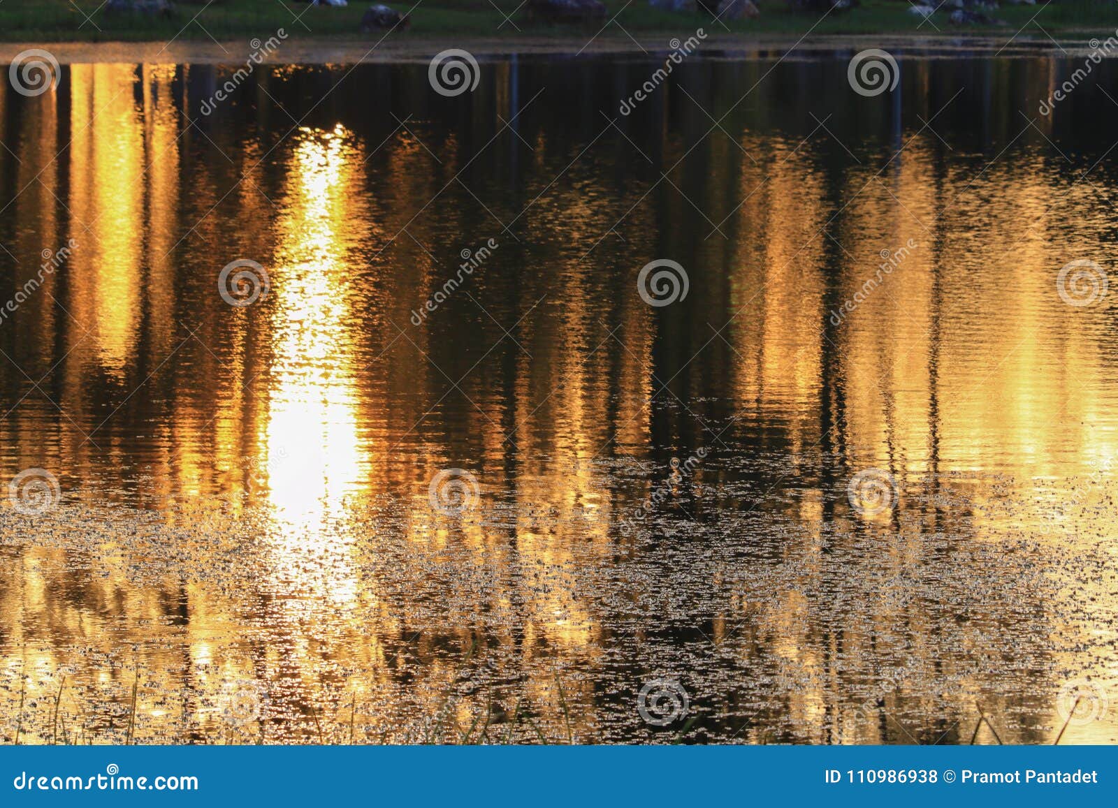 Reflection River and Shadow Tree in Water Beautiful Sunset Nat Stock ...