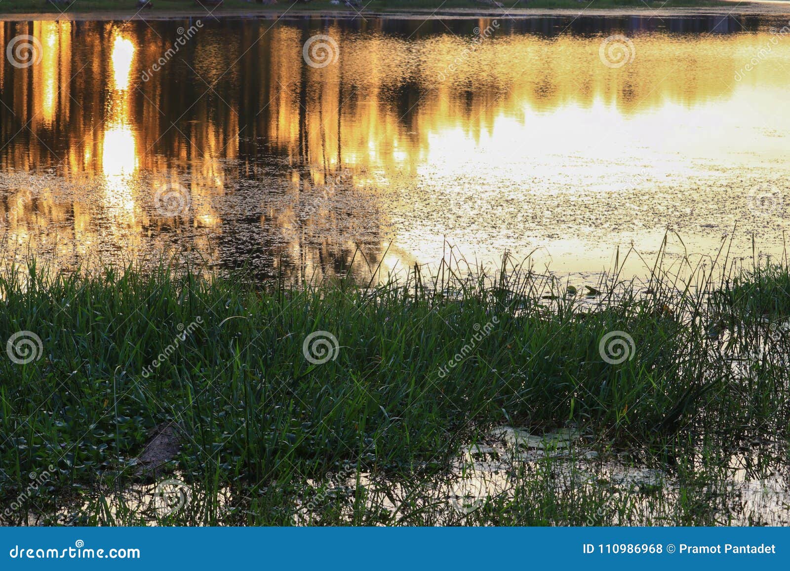 Reflection River and Shadow Tree in Water Beautiful Sunset Nat Stock ...