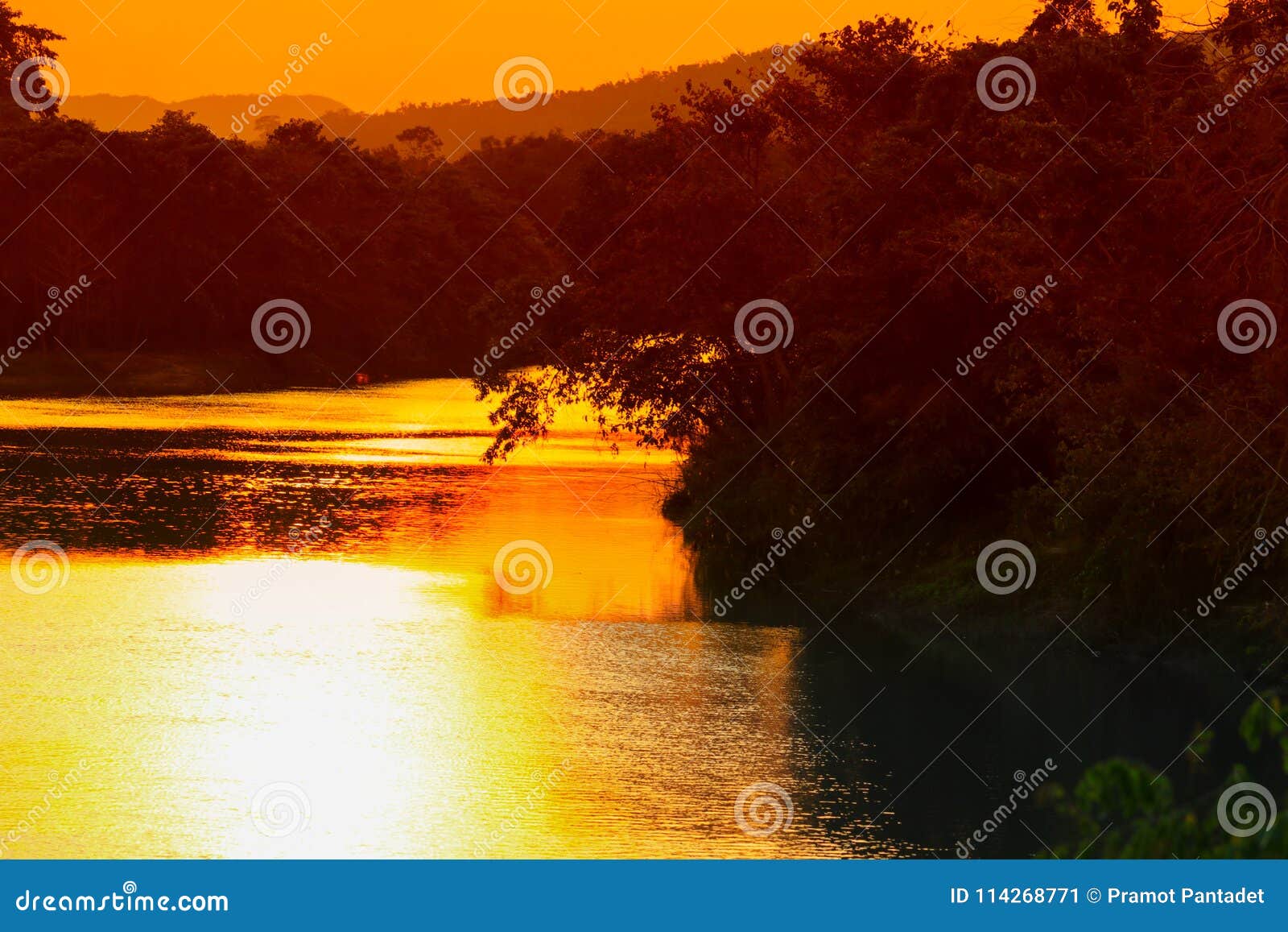 Reflection River and Shadow Tree in Water Beautiful Sunset Nature Stock ...