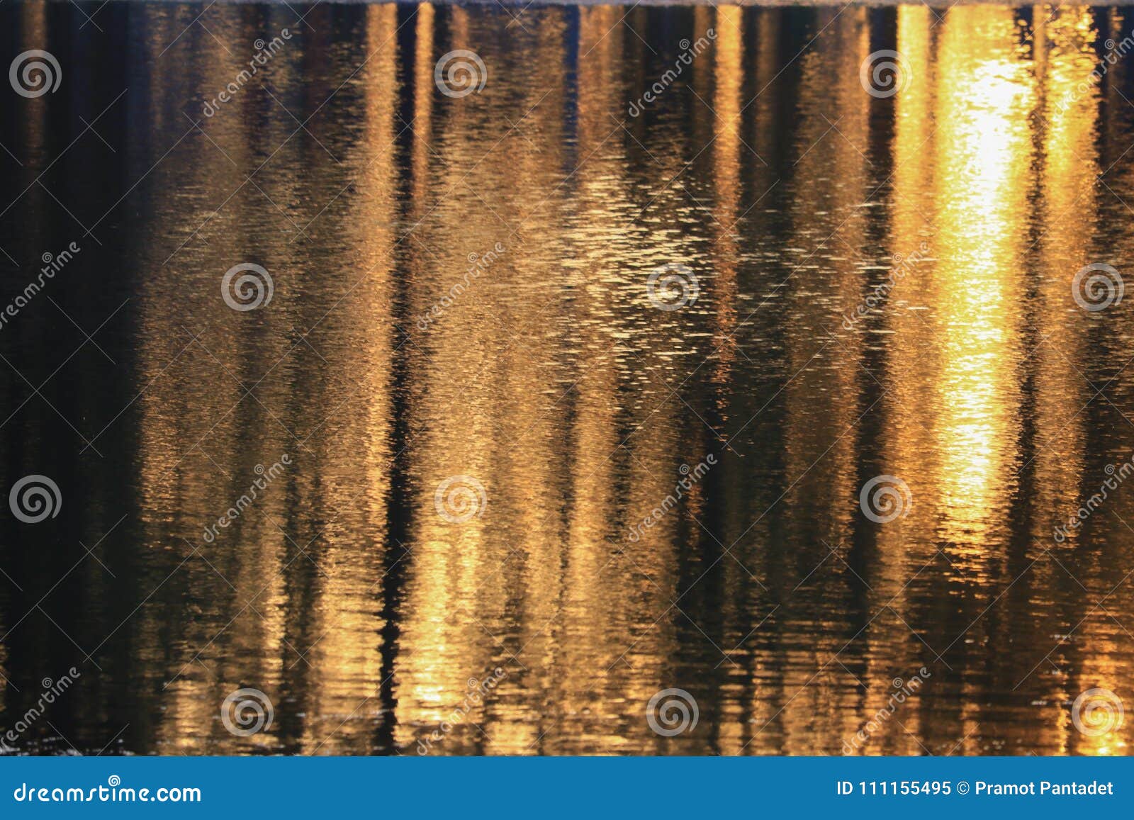 Reflection River and Shadow Tree in Water Beautiful Sunset Stock Image ...