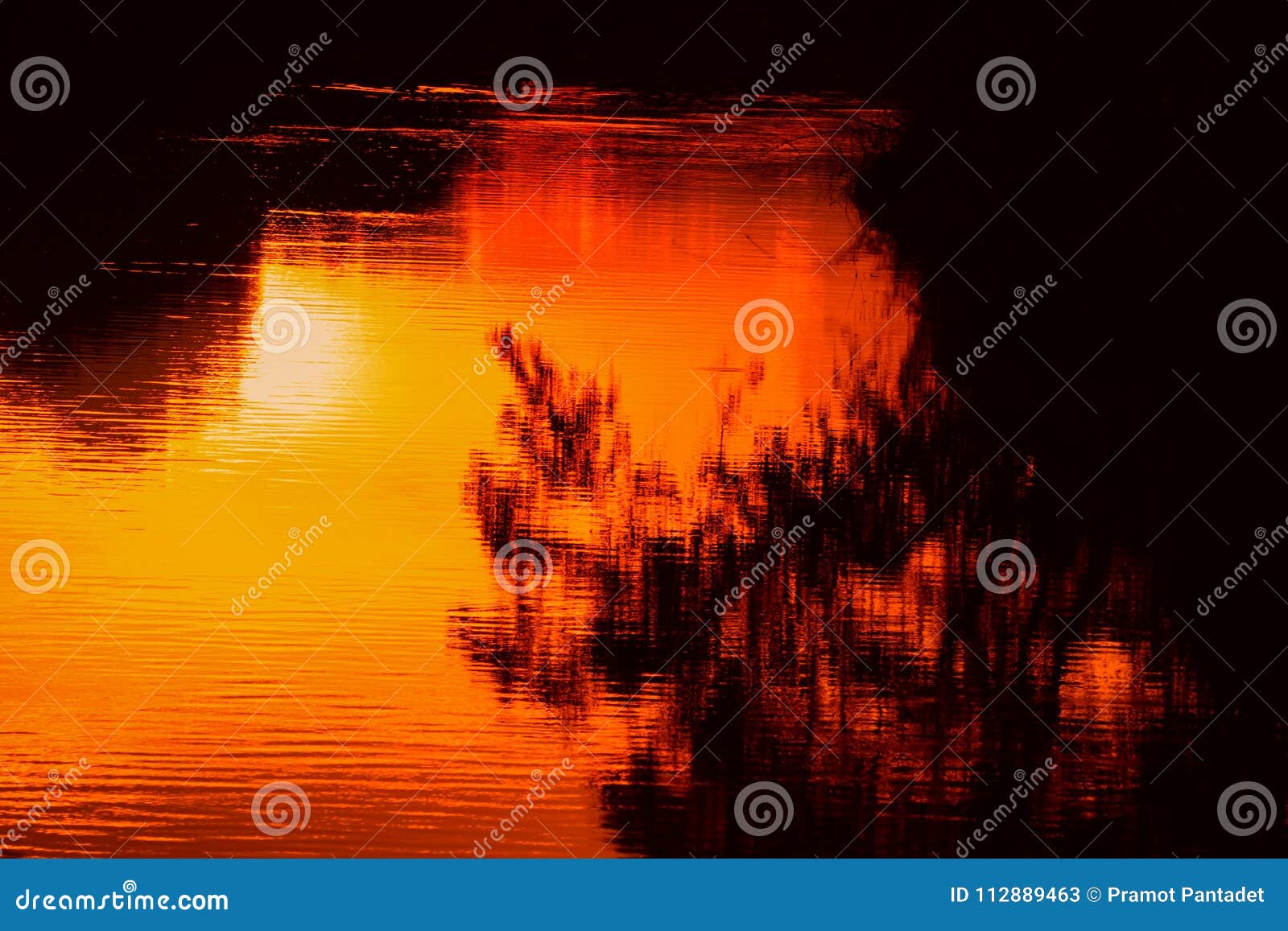 Reflection River and Shadow Tree in Water Beautiful Sunset Nature Stock ...