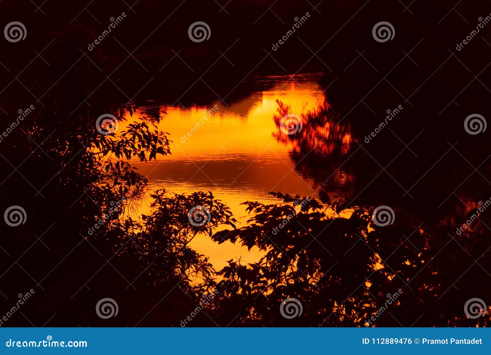 Reflection River and Shadow Tree in Water Beautiful Sunset Nature Stock ...