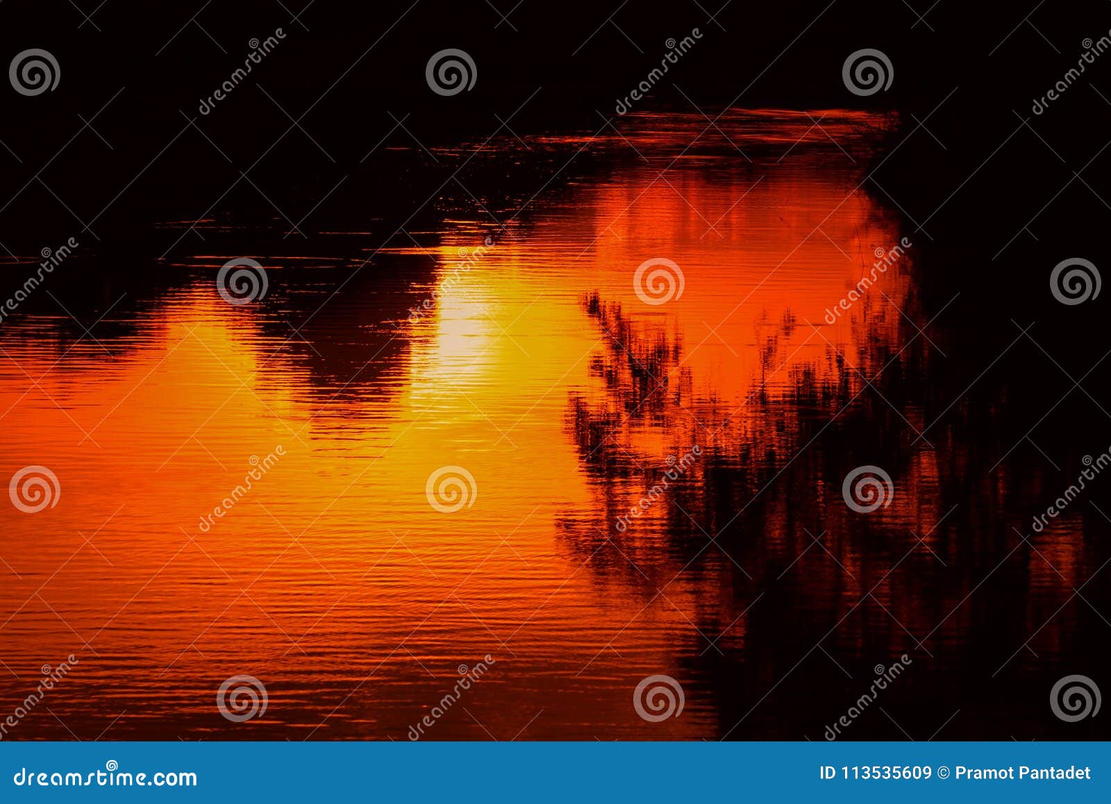 Reflection River and Shadow Tree in Water Beautiful Sunset Nature Stock ...