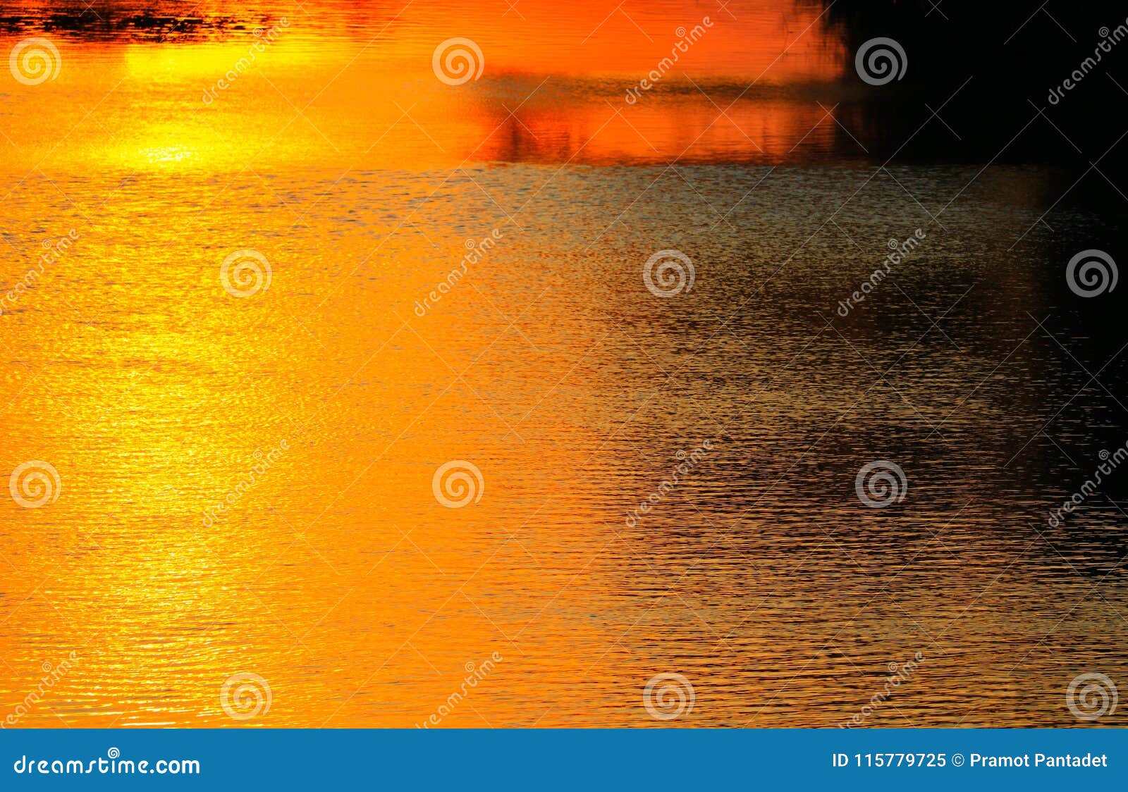 Reflection River and Shadow Tree in Water Beautiful Sunset Nature Stock ...