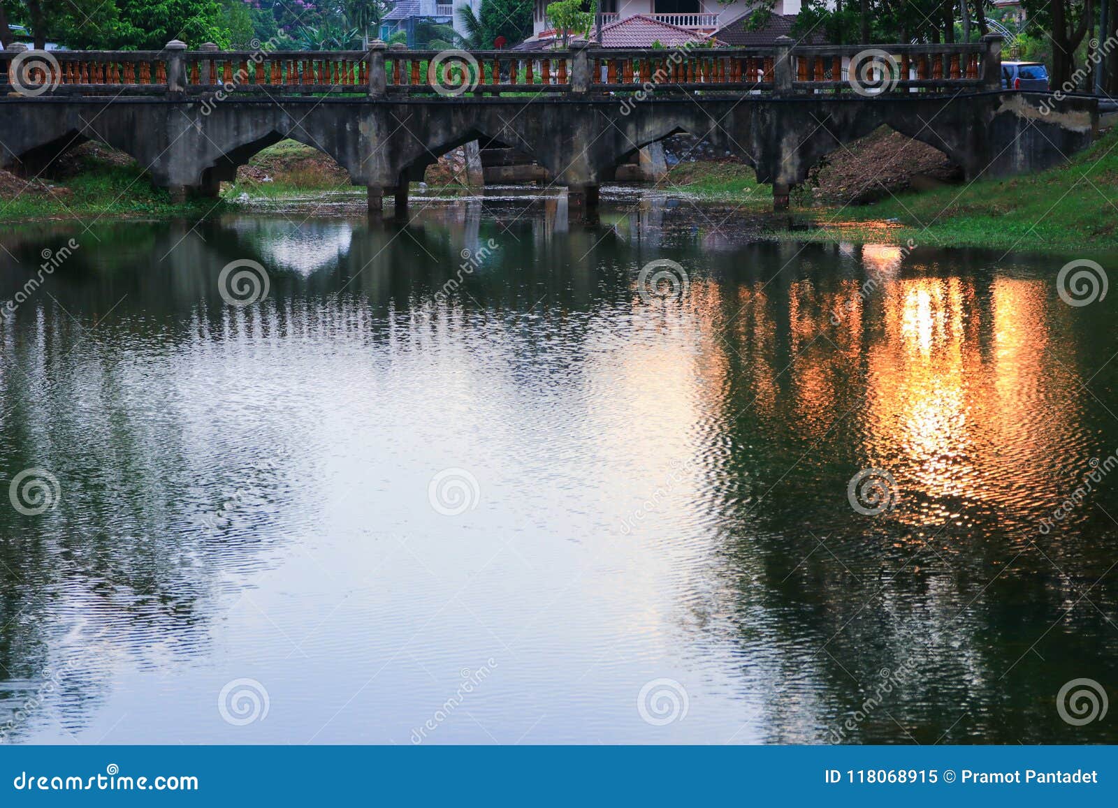 Reflection River and Shadow Tree in Water Beautiful Sunset Nature Stock ...