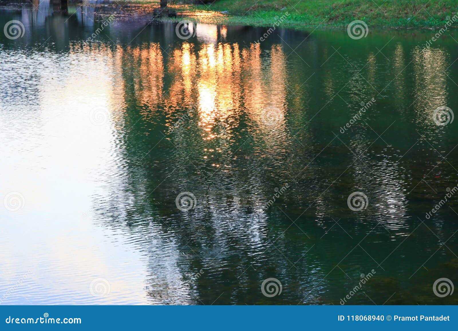 Reflection River and Shadow Tree in Water Beautiful Sunset Nature Stock ...