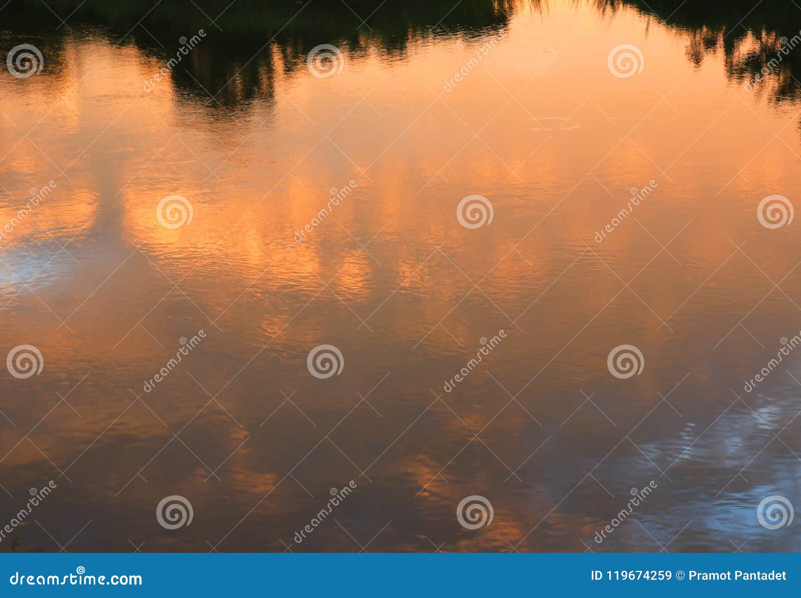 Reflection River and Shadow Tree in Water Beautiful Sunset Nature Stock ...