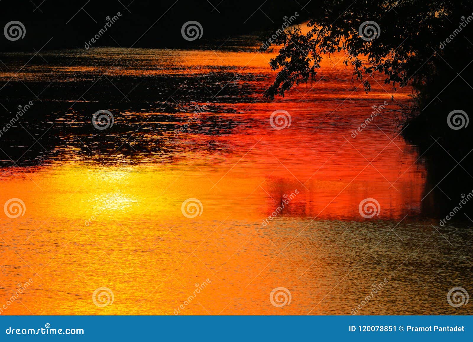 Reflection River and Shadow Tree in Water Beautiful Sunset Nature Stock ...