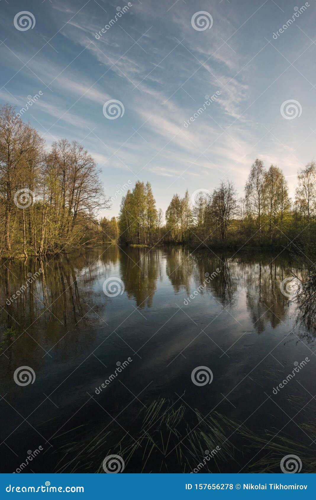 Reflection on the river stock photo. Image of trees - 157656278