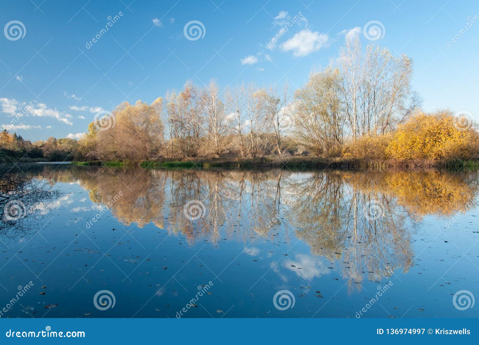 Reflection on the River with Trees Stock Image - Image of river, clouds ...