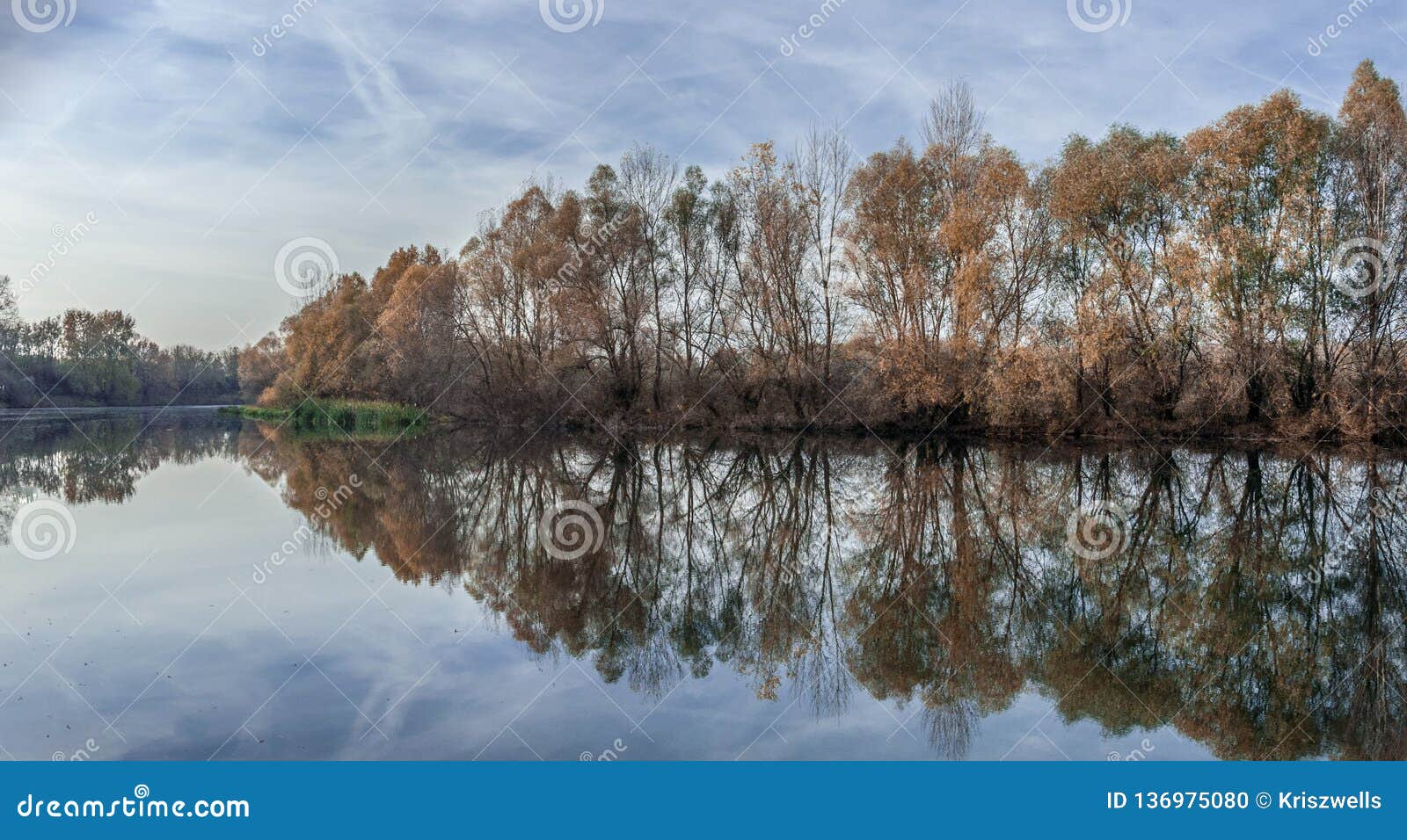 Reflection on the River with Trees Stock Photo - Image of reflection ...