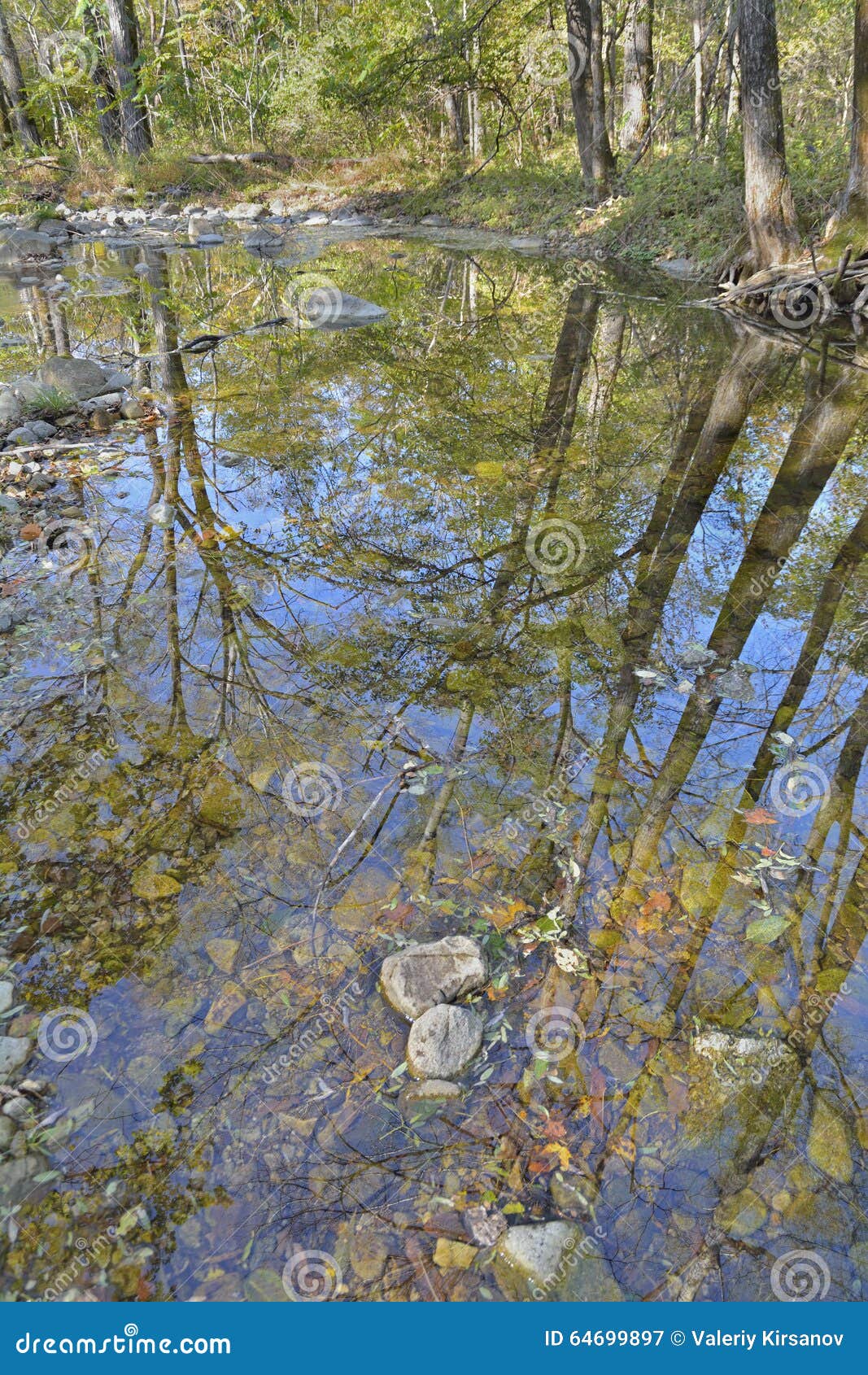 Reflection on river 3 stock image. Image of lake, scene - 64699897