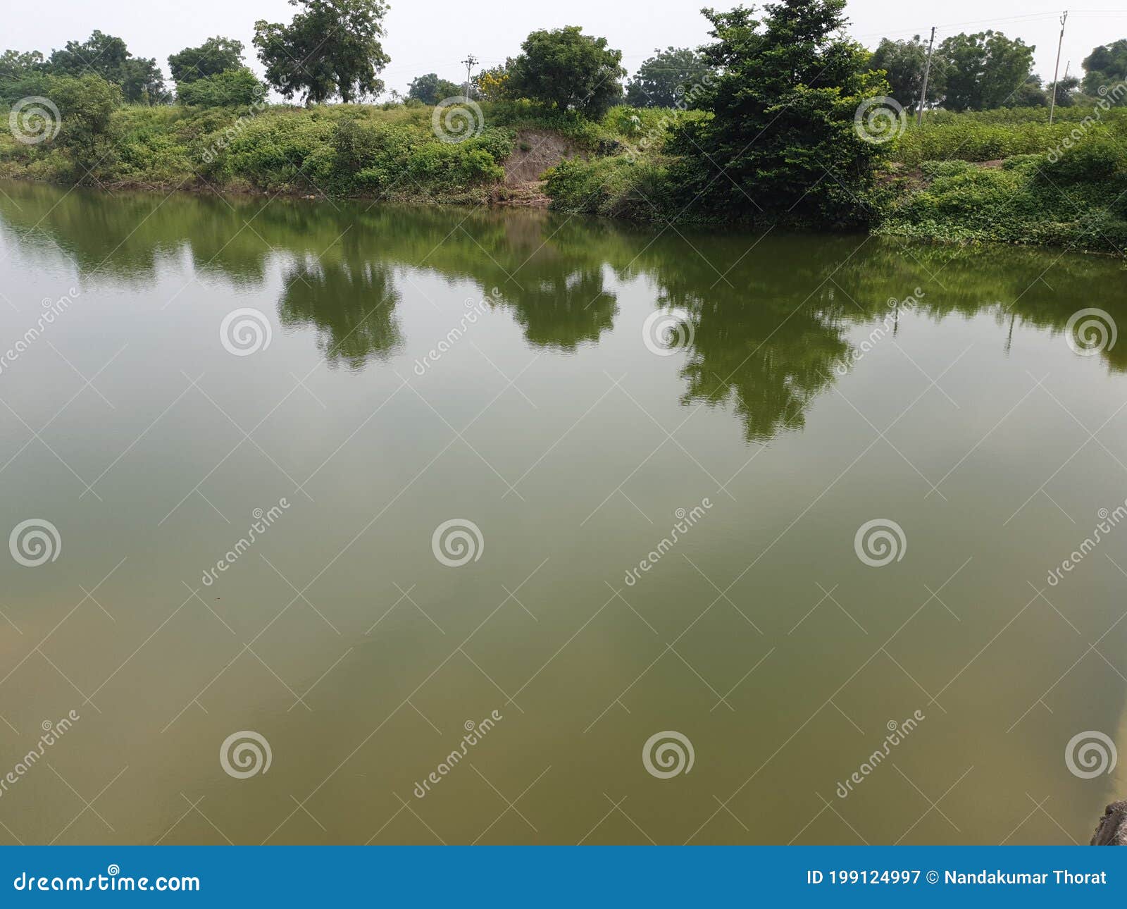 Reflection in the River Water Stock Image - Image of environment, trees ...
