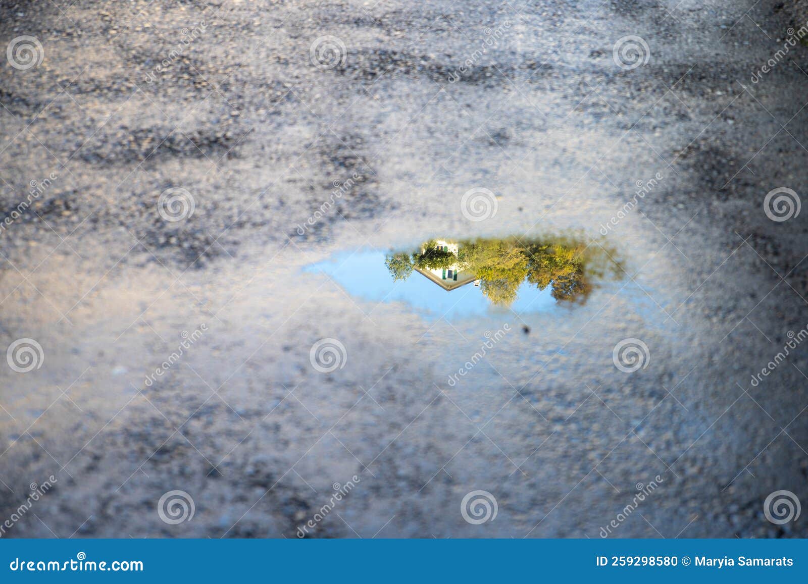 Reflection in a Puddle, after Rain, Puddle, Autumn Stock Photo - Image ...