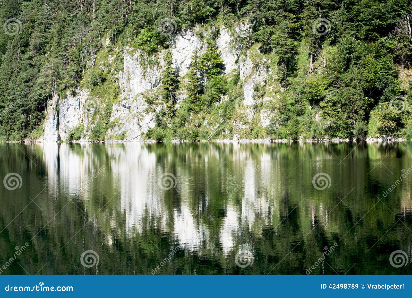 Reflection of Rocks and Forest in Alpine Lake. Stock Image - Image of ...