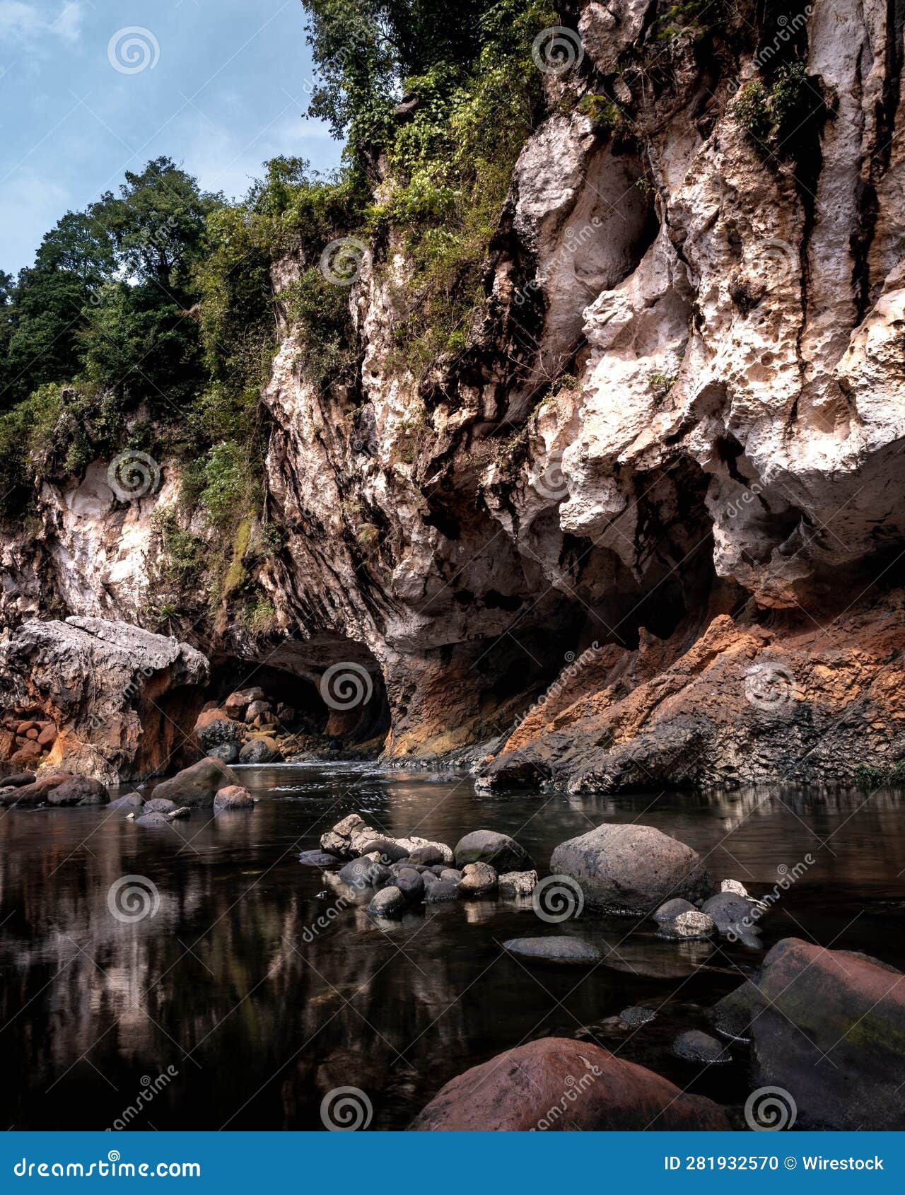 The Reflection of Rocks and Plants on the Water in a Mountain Stream ...