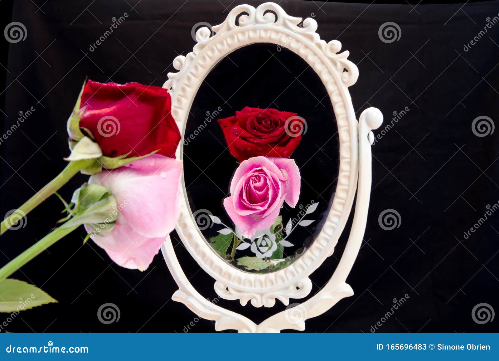 Reflection of Rose in Vintage Mirror on Black Background Stock Image ...