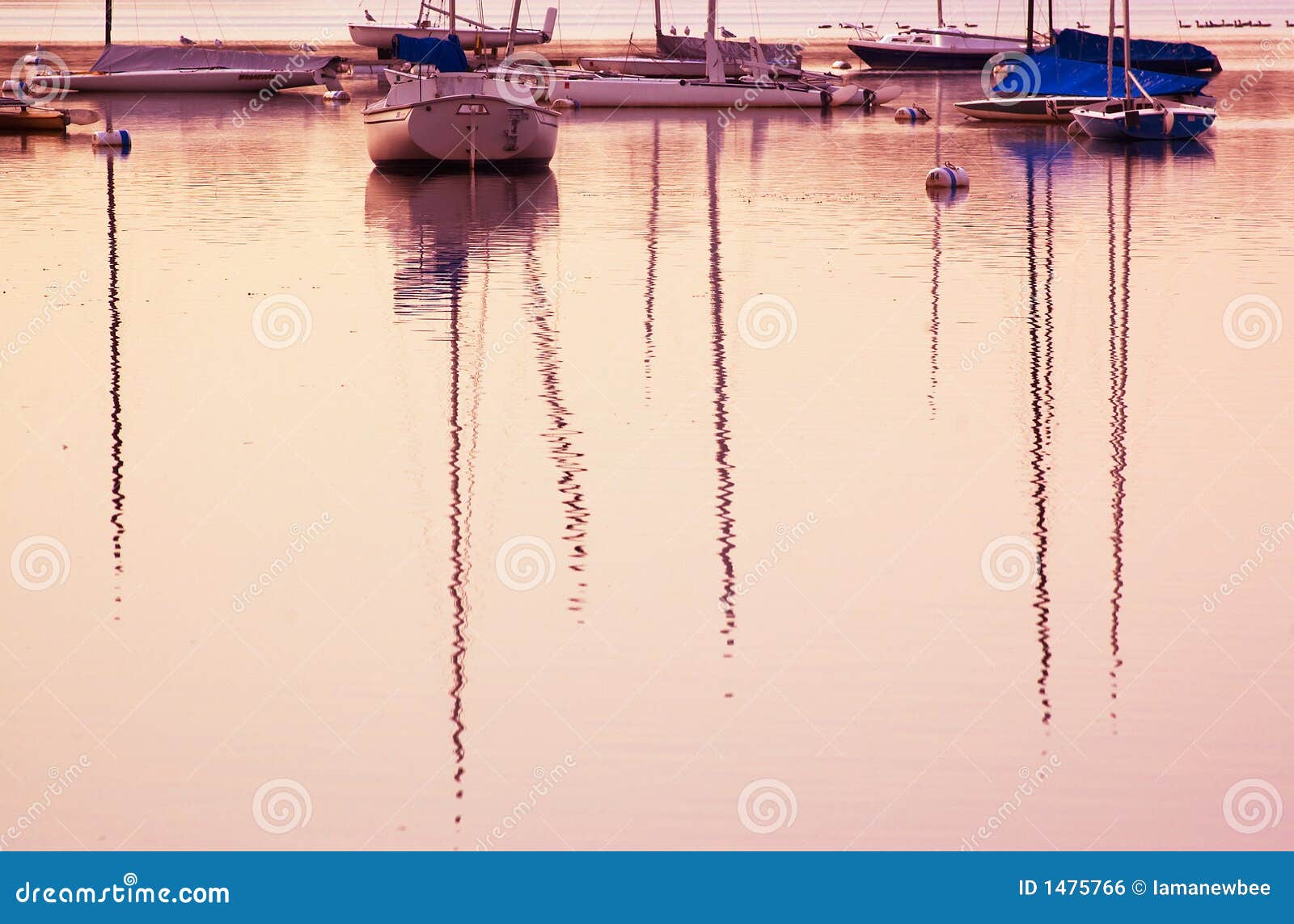 Reflection of sail boats. stock photo. Image of reflection - 1475766