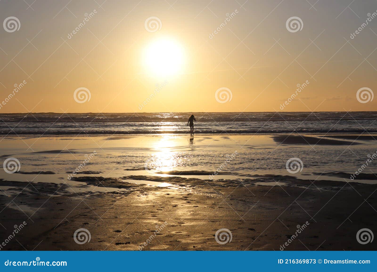 Reflection in the sand stock image. Image of sunset - 216369873