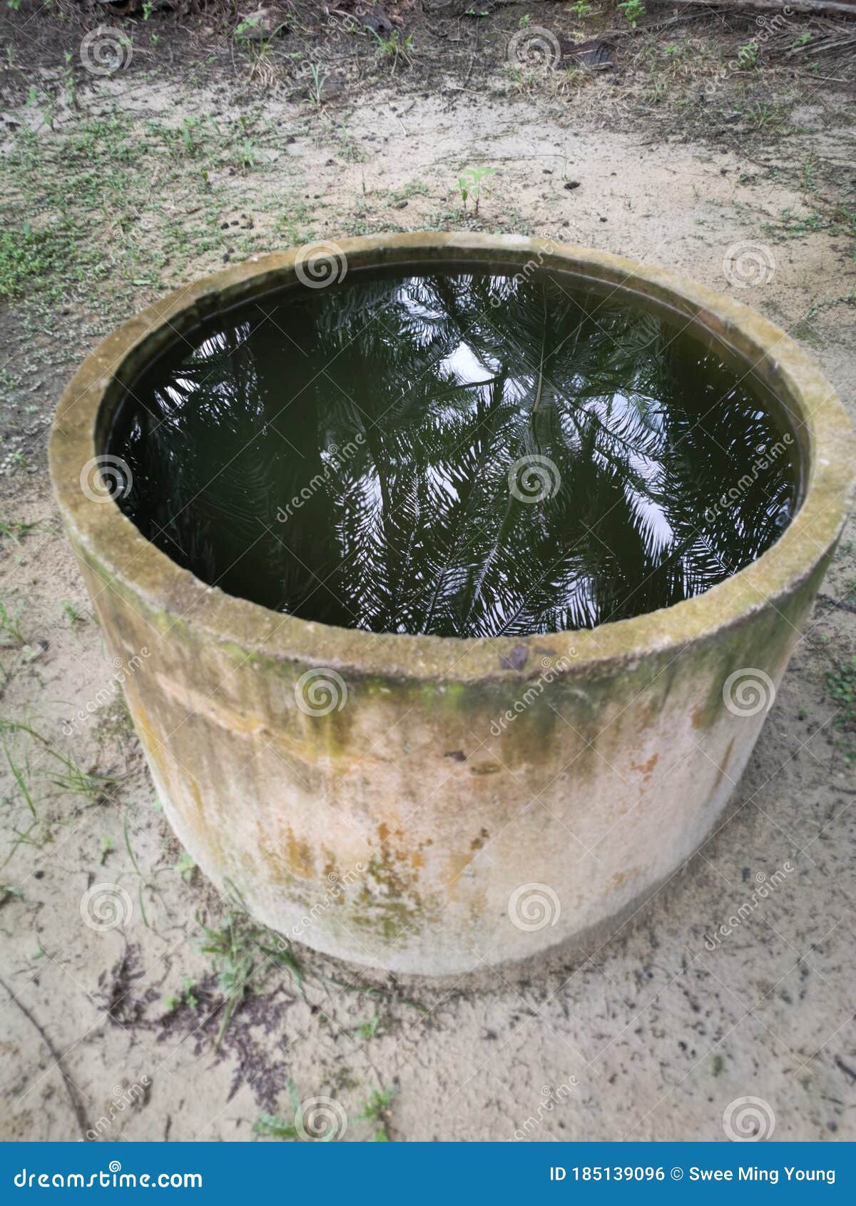 Reflection Scene on the Surface of the Concrete Well Fill with Water ...