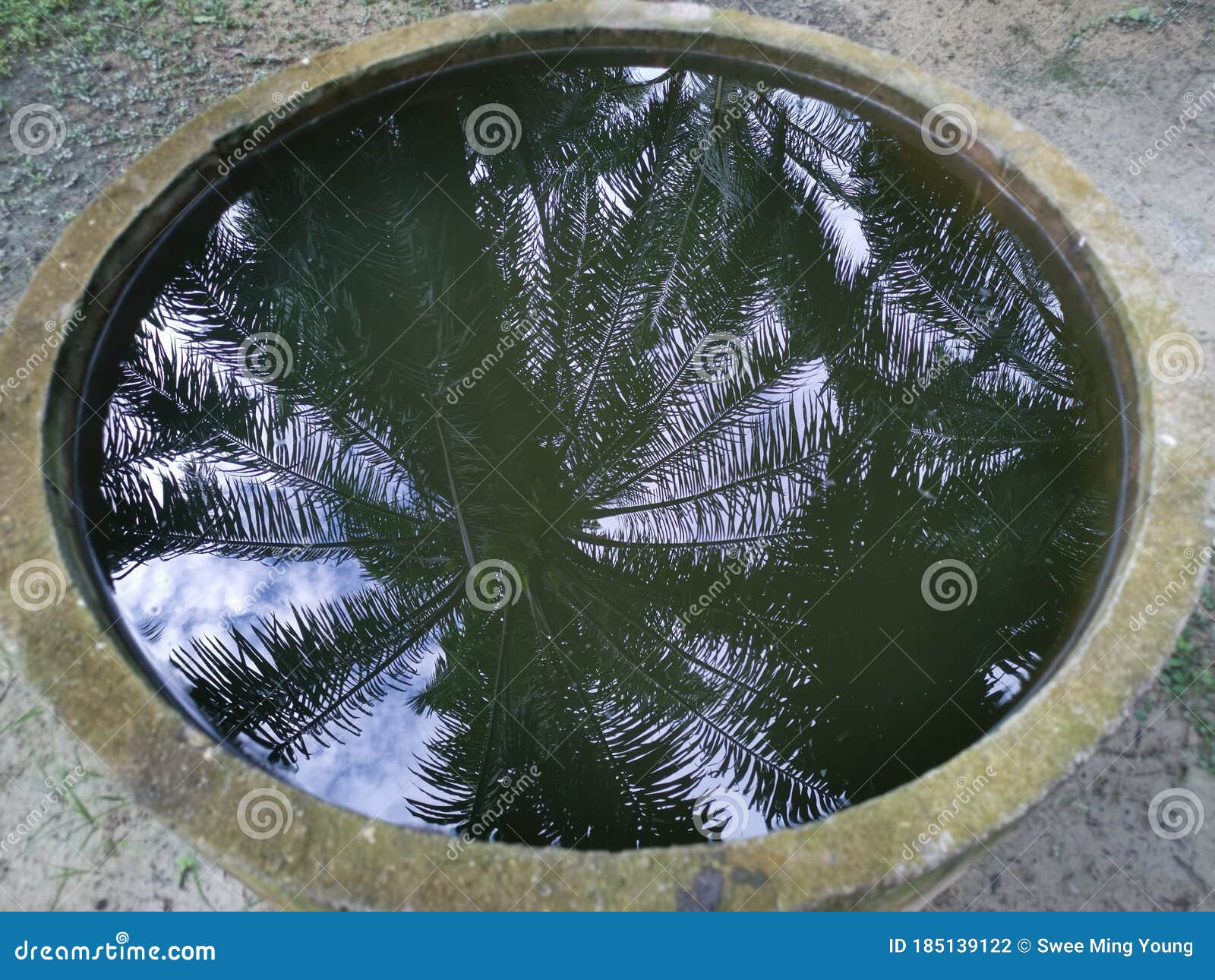 Reflection Scene on the Surface of the Concrete Well Fill with Water ...