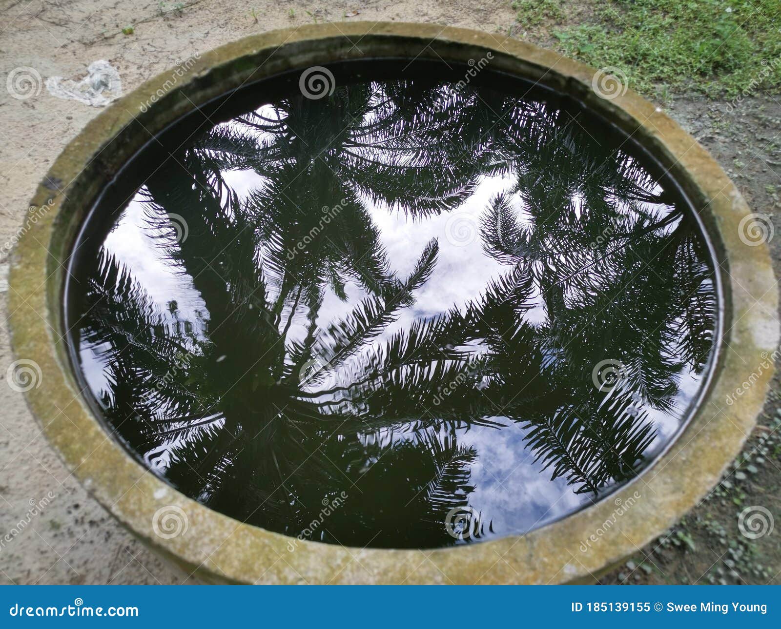 Reflection Scene on the Surface of the Concrete Well Fill with Water ...
