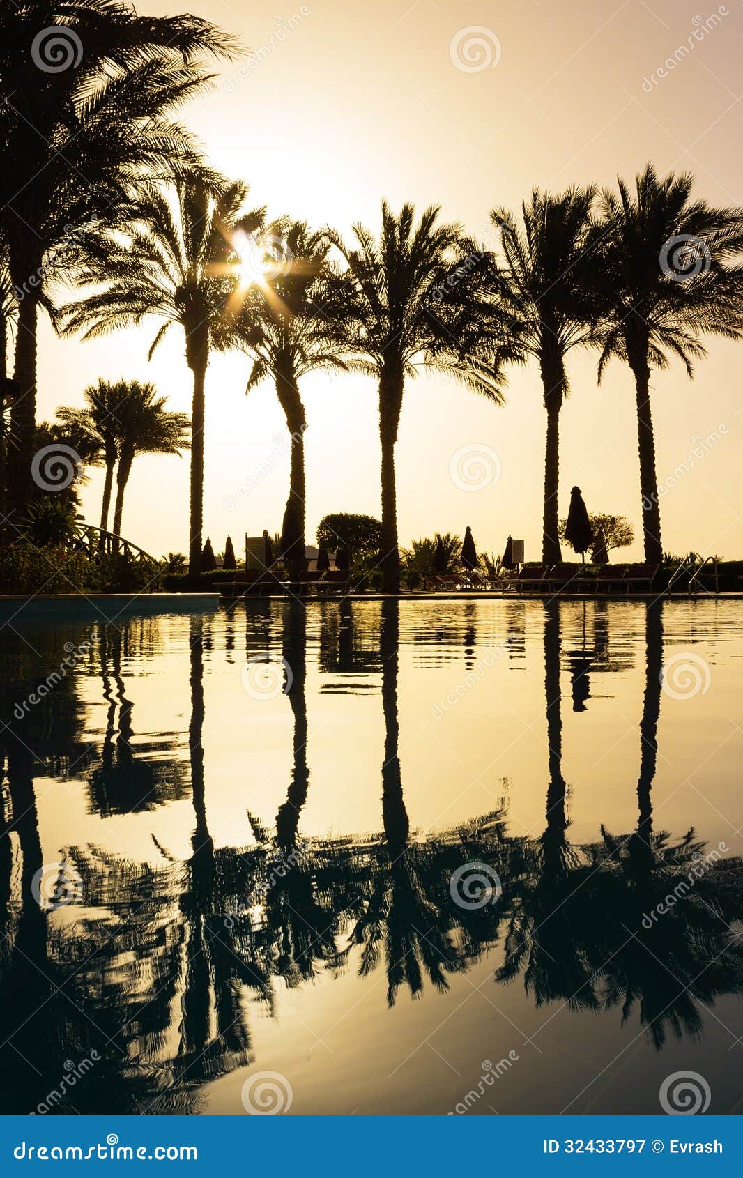 Reflection of Silhouettes of Palm Trees in the Pool Water Stock Image ...