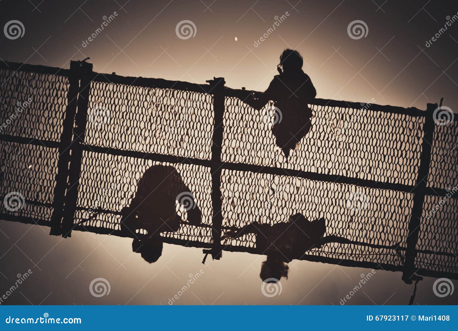 Reflection Silhouettes of People in the River Stock Image - Image of ...