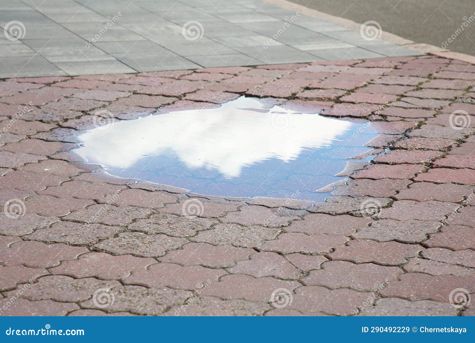 Reflection of Sky in Puddle on Street Tiles Outdoors Stock Image ...