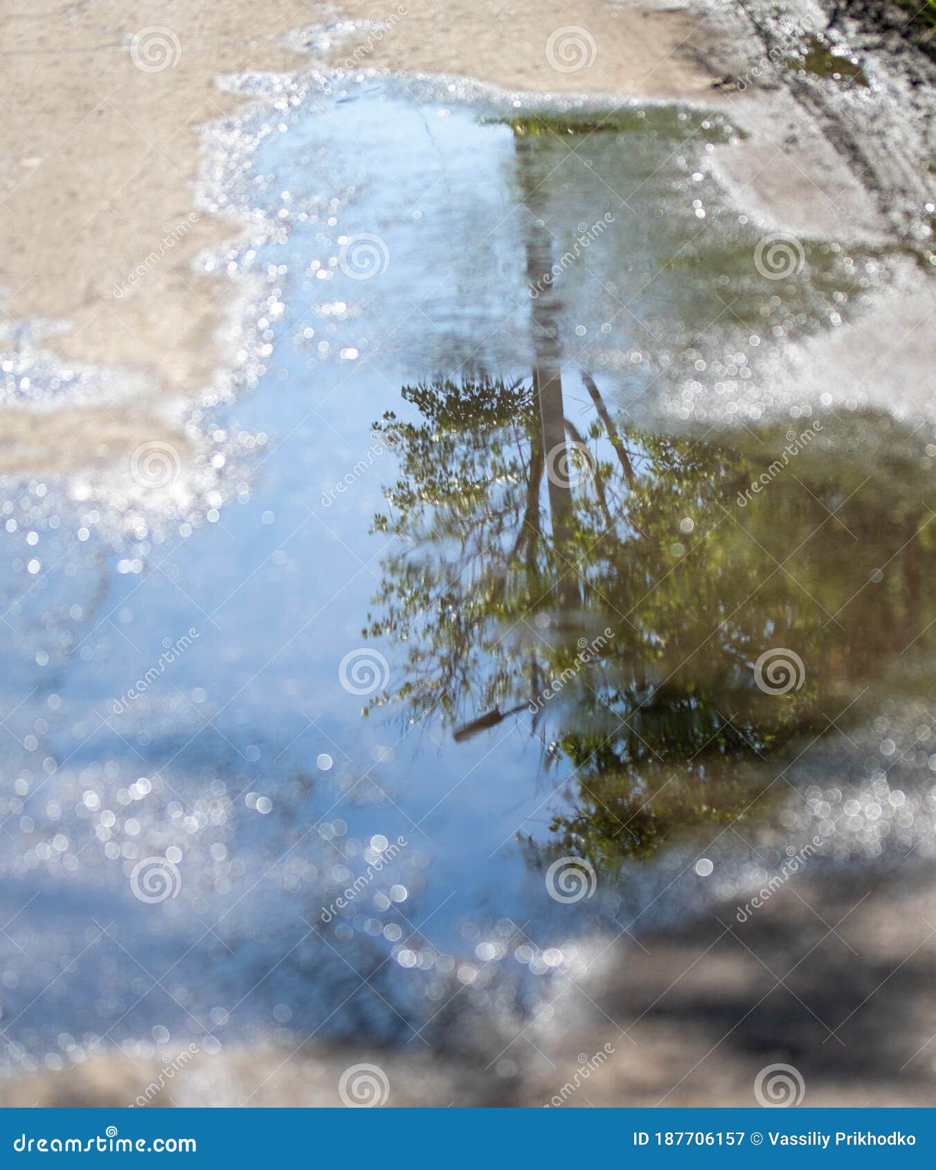Reflection of the Sky and Tree in Puddles of Water Stock Image - Image ...