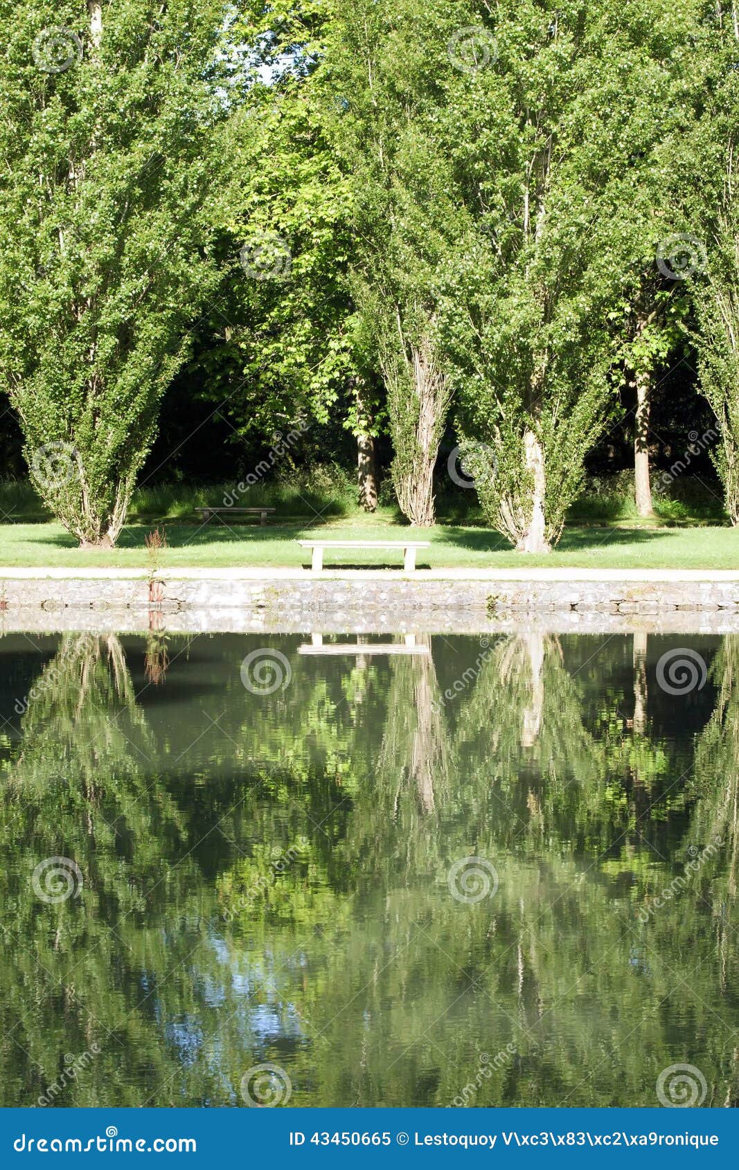Reflection of the Solitude. Stock Image - Image of quiet, bench: 43450665