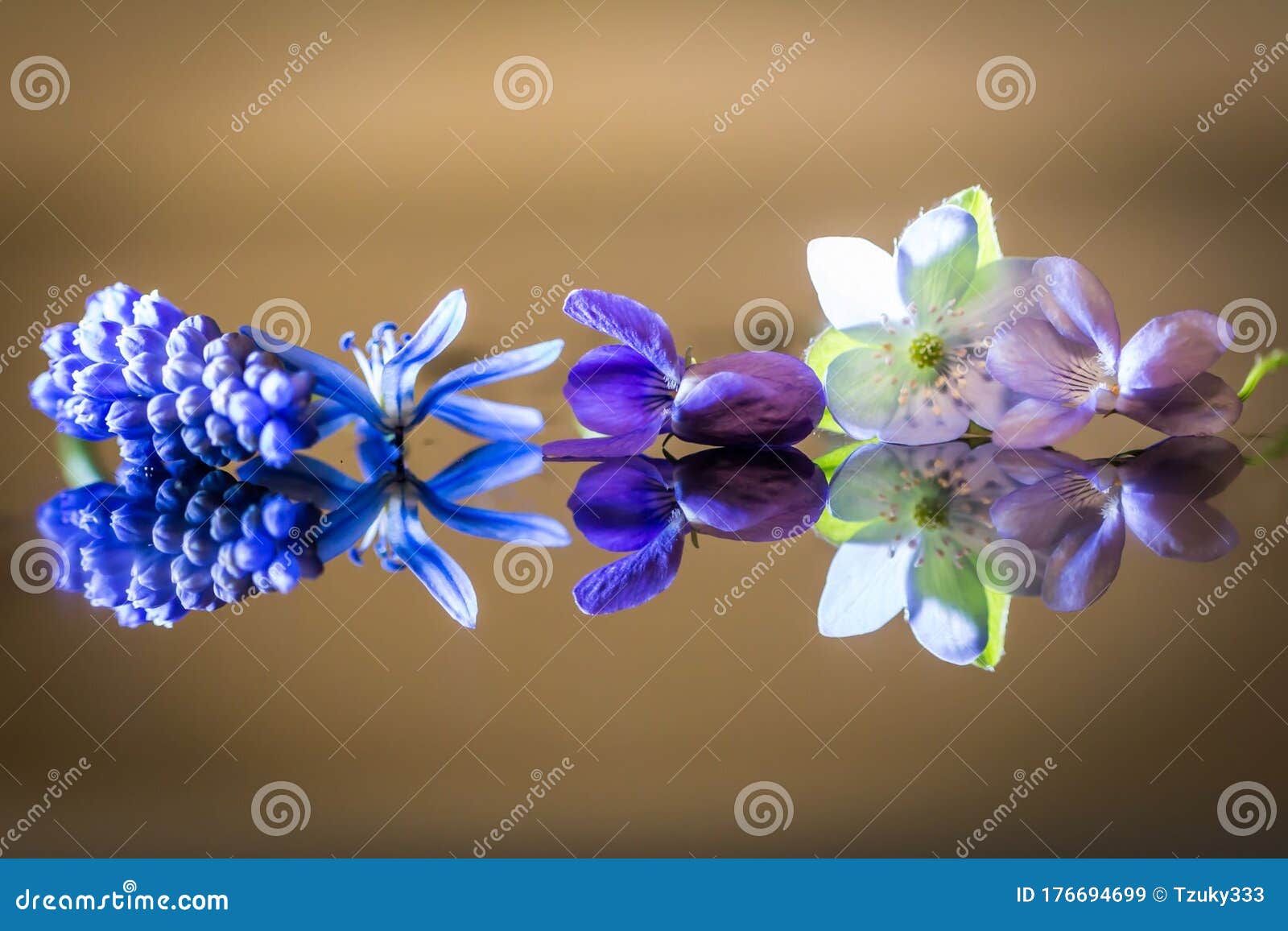 Reflection of Spring Flowers Stock Image - Image of reflective, mirror ...