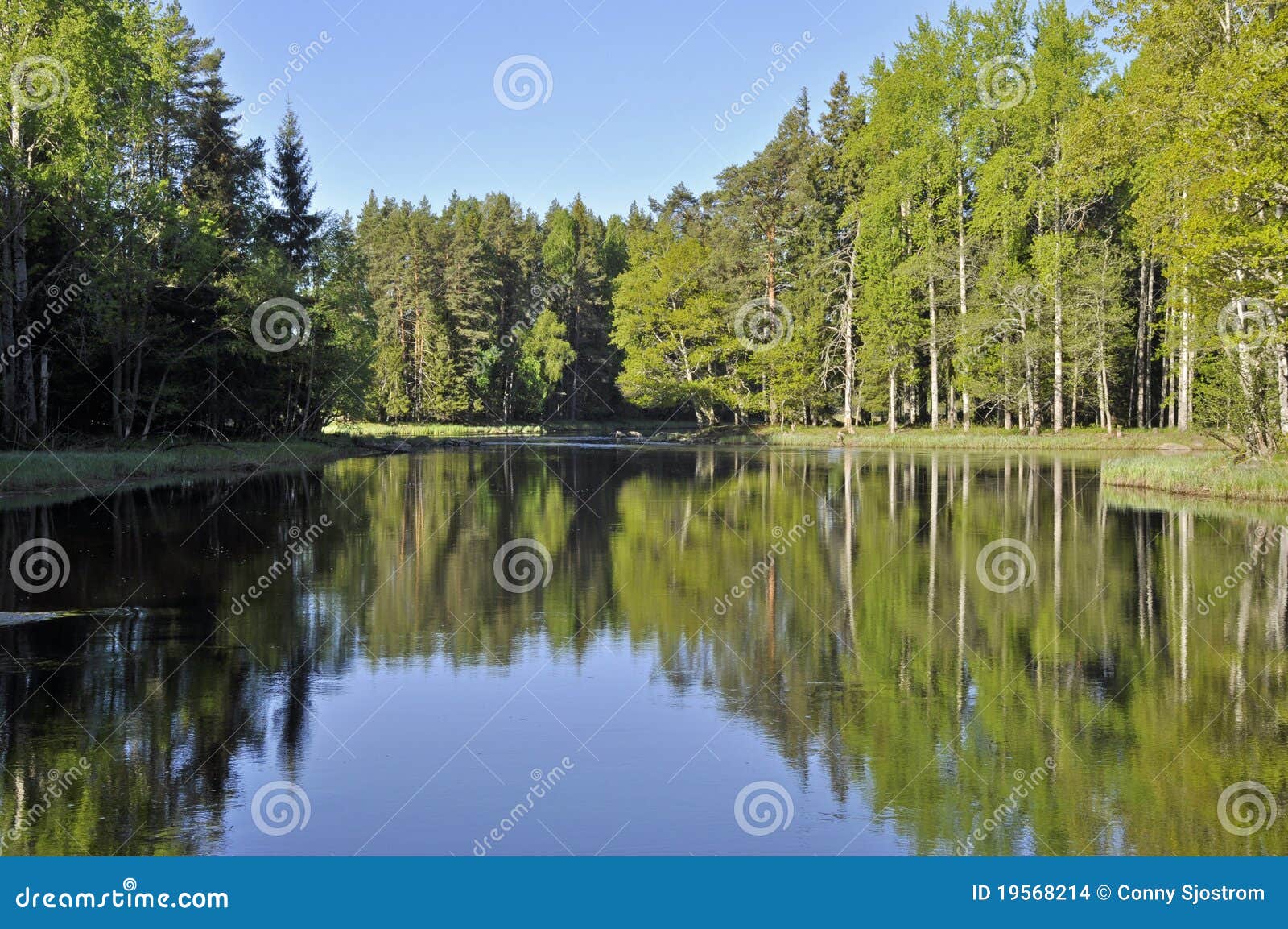 Reflection on still lake stock photo. Image of mirror - 19568214
