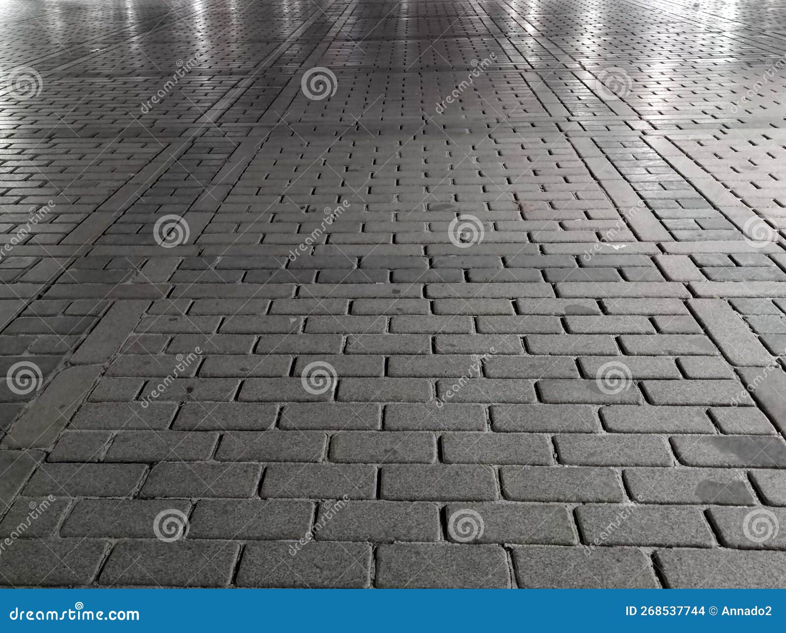Reflection of Street Lights in Paving Stones, Texture for Background ...