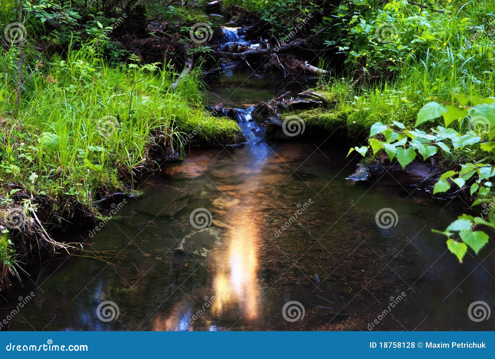 Reflection of the Sun in a Brook Stock Photo - Image of creek ...