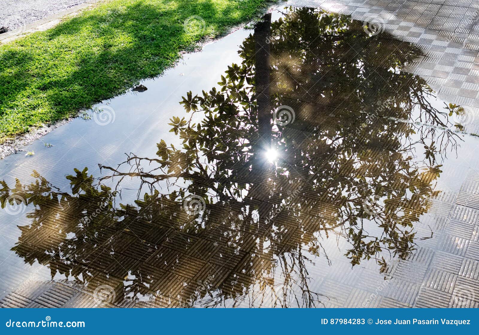 Reflection of the Sun in a Puddle after the Rain Stock Image - Image of ...