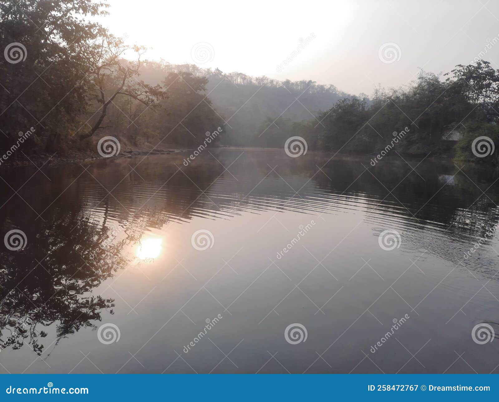 Reflection of sun in river stock image. Image of haze - 258472767