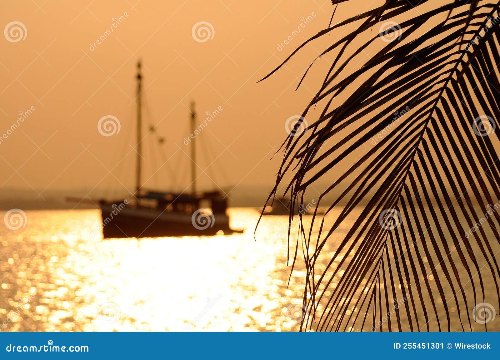 Reflection of the Sun is Seen through a Leaf As Boats are Sailing on ...