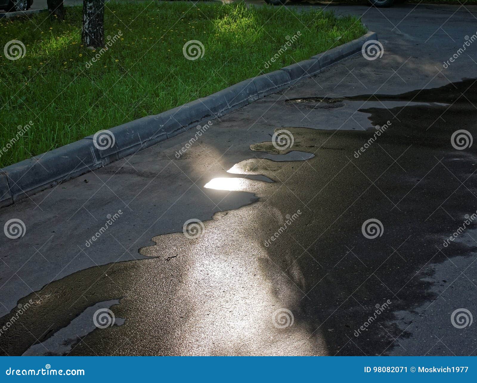 The Reflection of Sun Shine in a Puddle Stock Image - Image of color ...