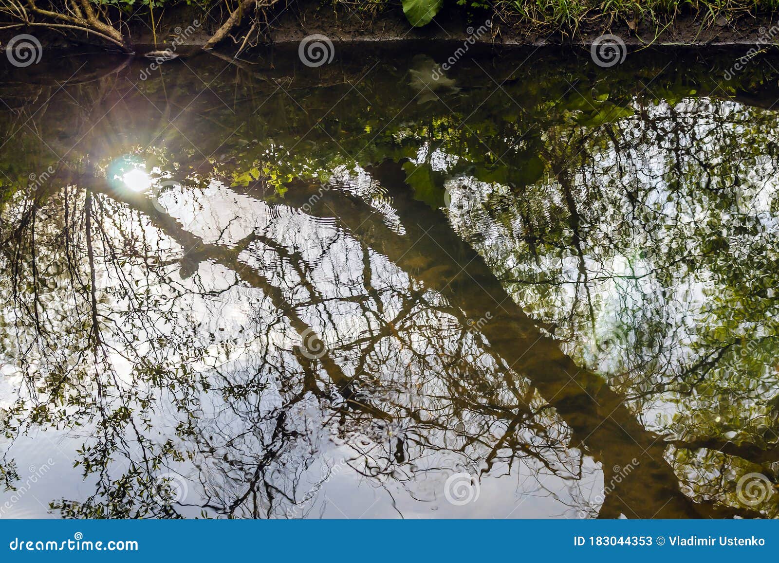 Reflection of the Sun, Sky, Trees and Grass in the Water of a Flowing ...